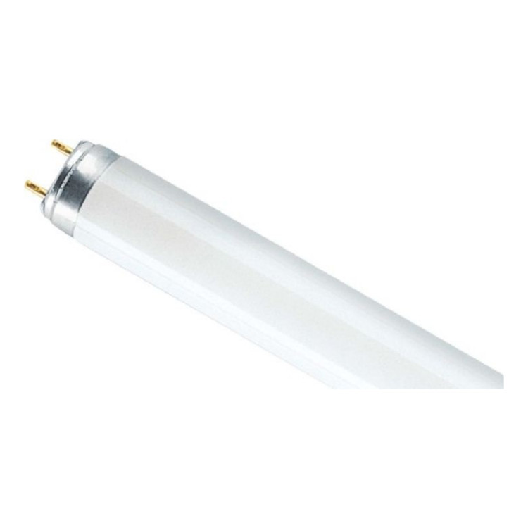 Заказать Лампа люминесцентная L 36W/640 25*1 FED OSRAM в интернет ...