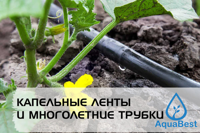 Капельные ленты и многолетние капельные трубки – купить Капельные ленты ...