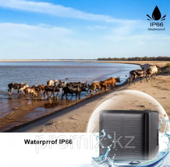 GPS трекер для КРС ( лошадей, коров ) GSM: продажа, цена в Алматы. Gps ...