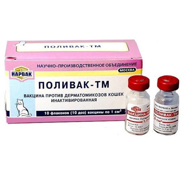 Вакцинация кошек от лишая - преимущества и недостатки препарата