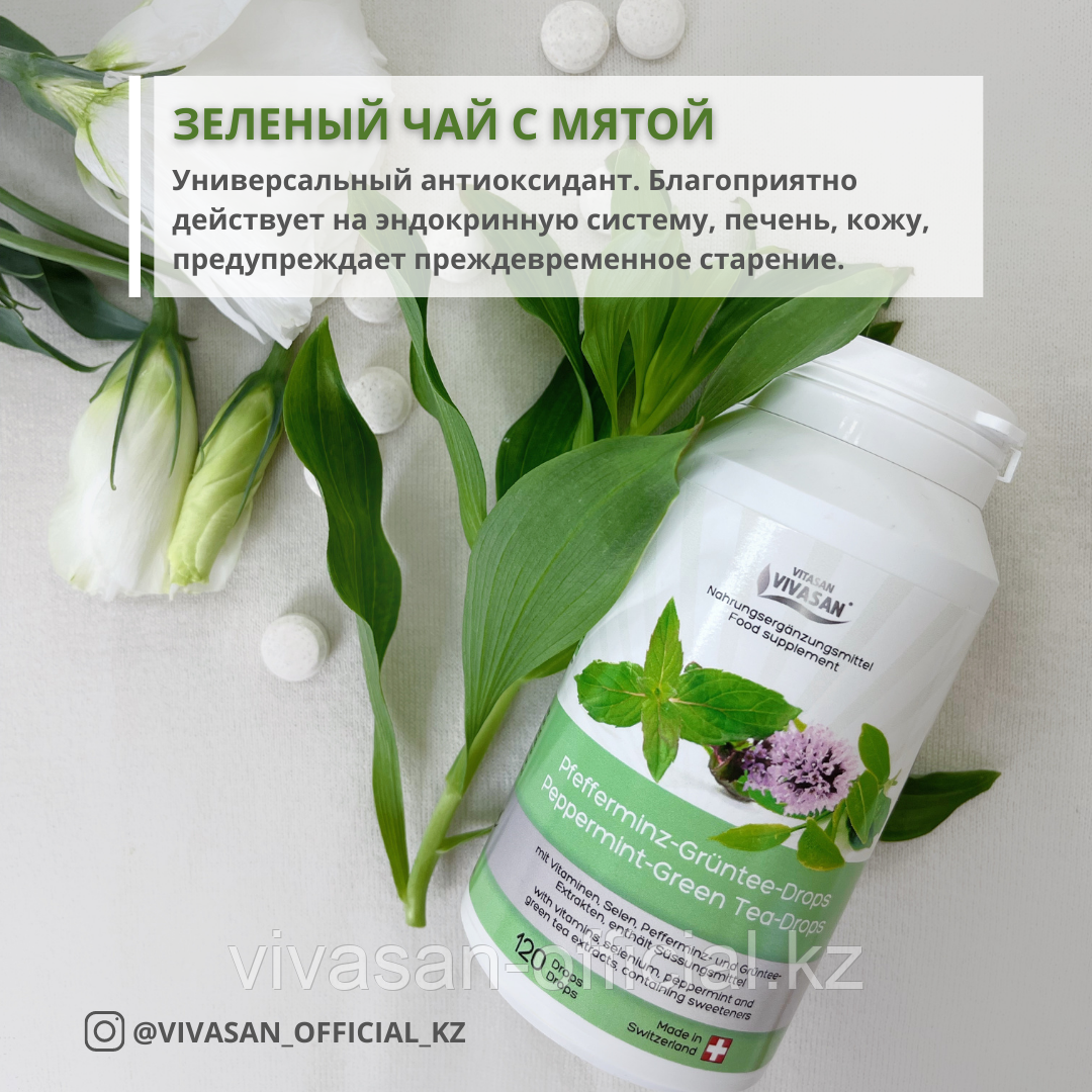 Зеленый чай с мятой (в таблетках): продажа, цена в Алматы. Чай от ...