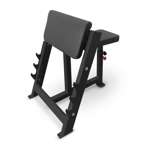 Скамья Скотта Bronze Gym AL-303: силовые тренажеры купить недорого