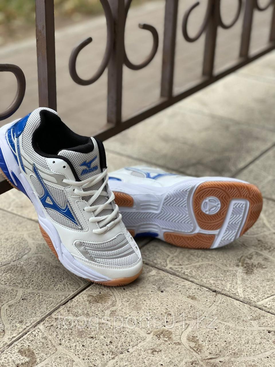 Волейбольные кроссовки Mizuno (2415) (id 104403195)