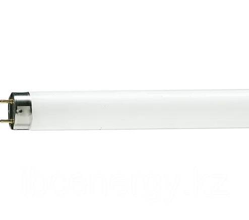 Купить TL-D Standard Colours | TL-D 30W/54-765 1SL/25 с доставкой по РК ...