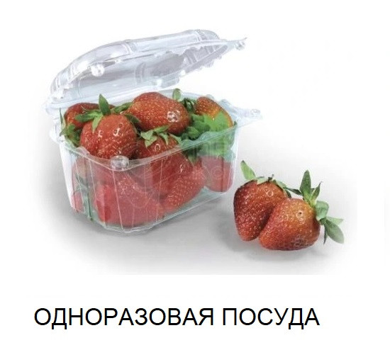Купить одноразовую посуду оптом в Караганде