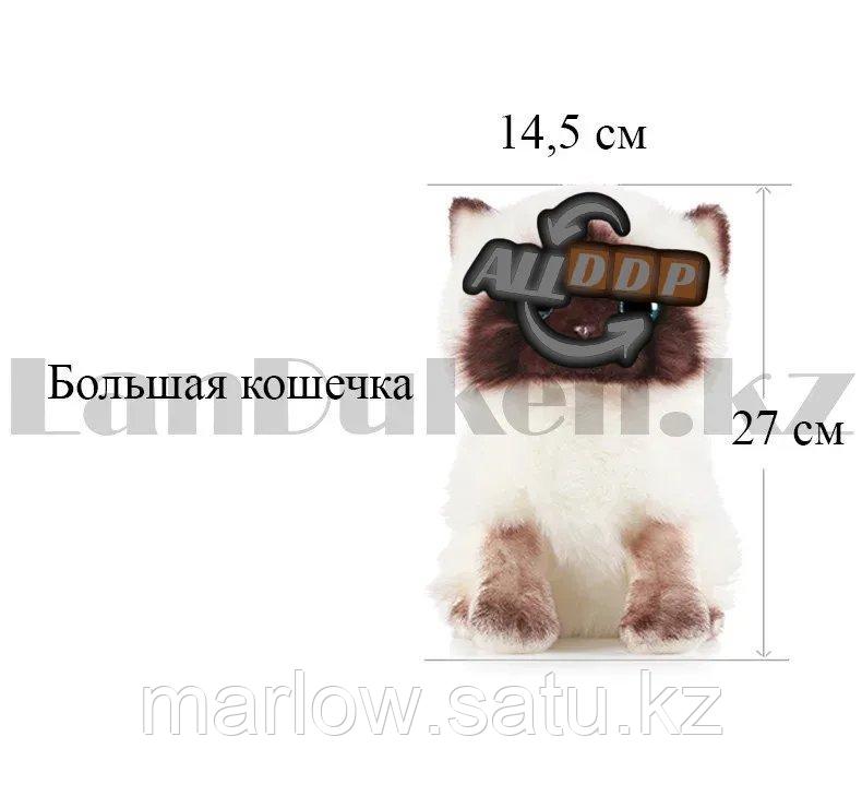 Мягкая игрушка Кошка сиамская с блестящими глазами большая 27 см (id ...