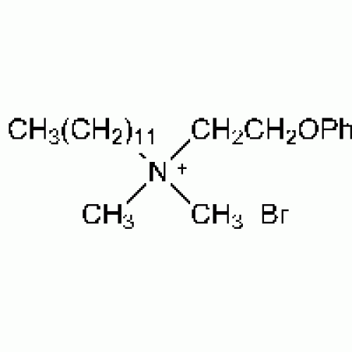(ch3)4ncl Lewis Structure