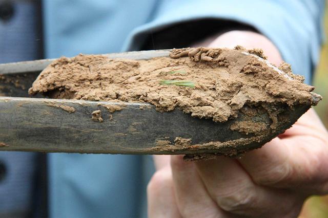 Пробоотбор почвы в Алматы от компании "Техноарт".