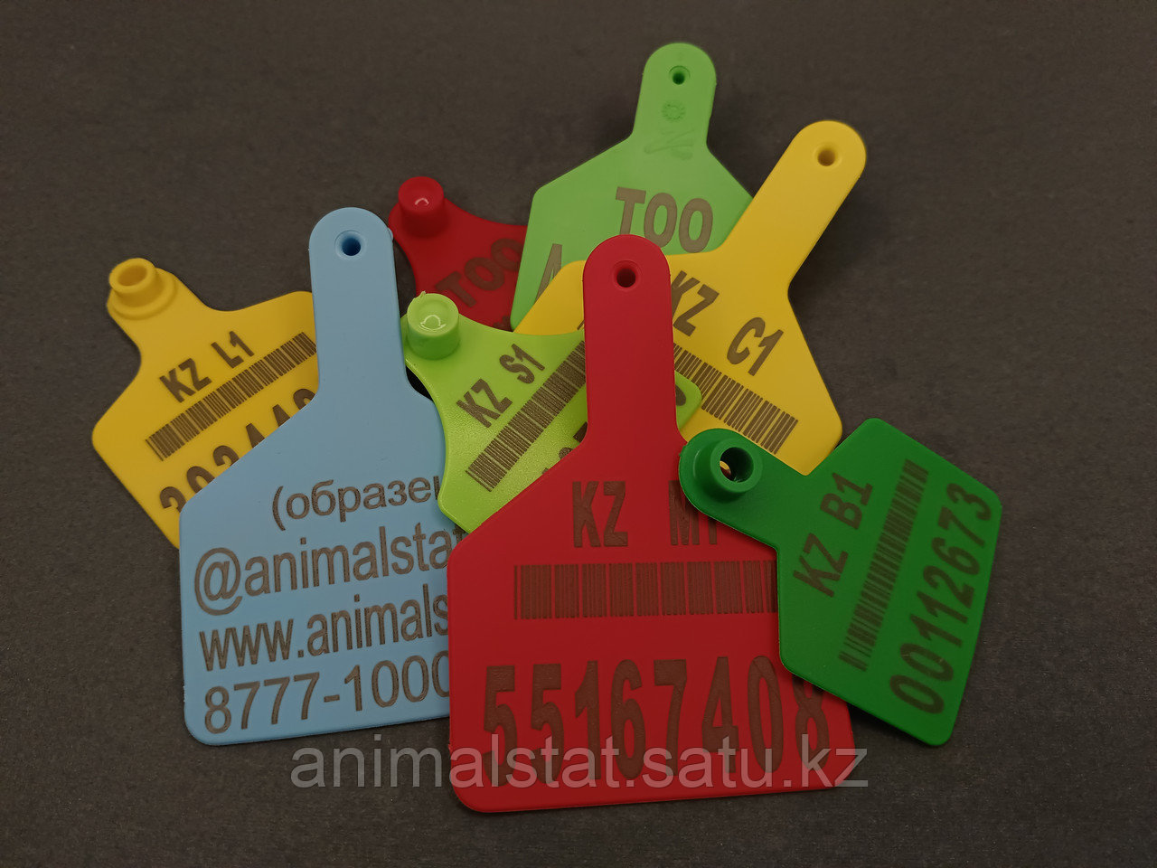 Навесная ушная бирка ZEE TAGS . Размер: XL ( 110мм * 76мм): продажа ...