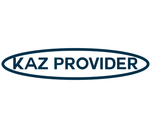 Группа компании "TOO Kaz Provider”