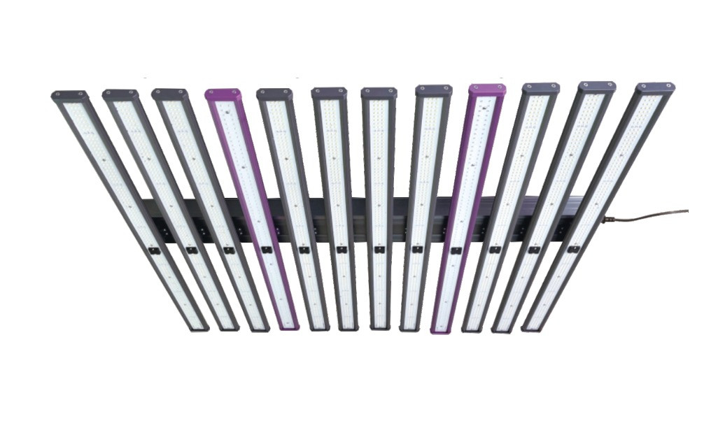 Win Light Vision 1060 Вт (Full Spectrum): продажа, цена в Алматы ...