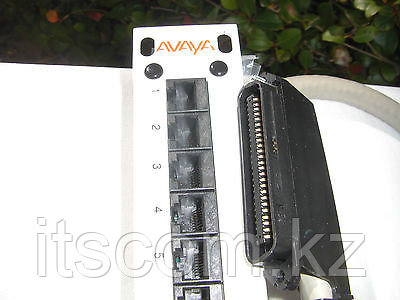Купить Avaya 24 Port 110 Punch CAT 5 Patch Panel в Алматы, в Нур ...